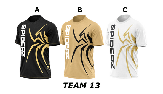 '26 Texas Mega Draft Companion Jerseys – Spiderz Mega Drafts